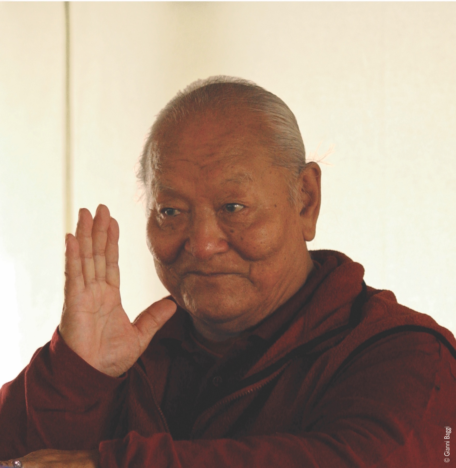 Namkhai Norbu - The Treasury of Lives: A Biographical Encyclopedia of ...